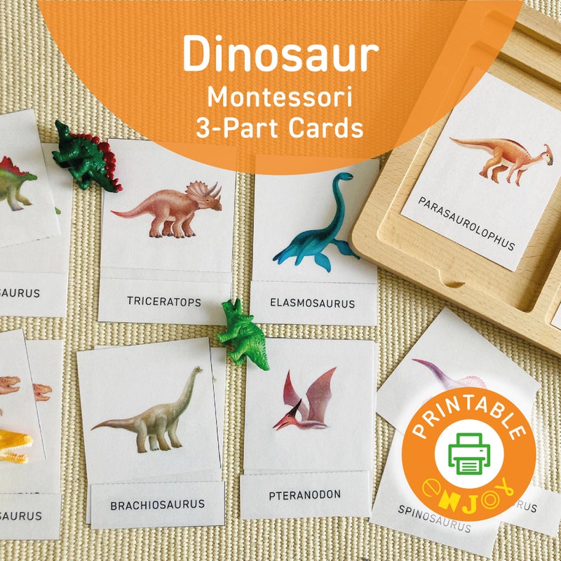 Montessori Dinosaur - Etsy