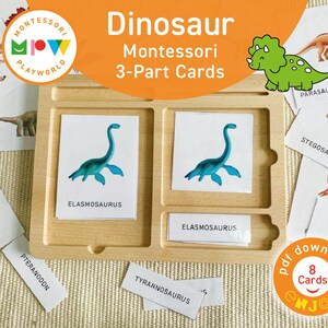 Dinosaur Montessori 3-part Cards Preschool Printables Dinosaur ...