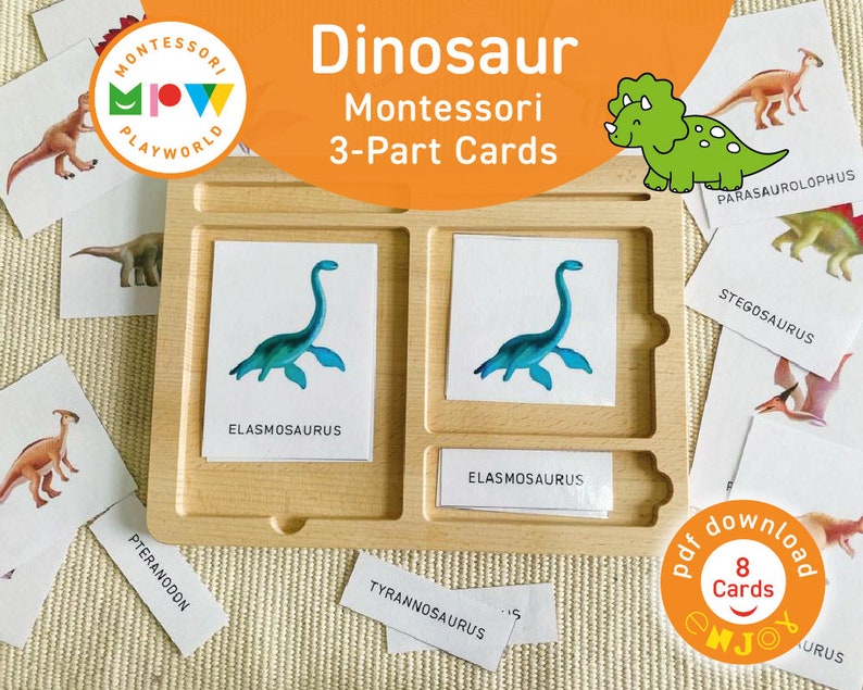 8 Dinosaur 3-part Cards Montessori, Montessori Activity, Dinosaur ...