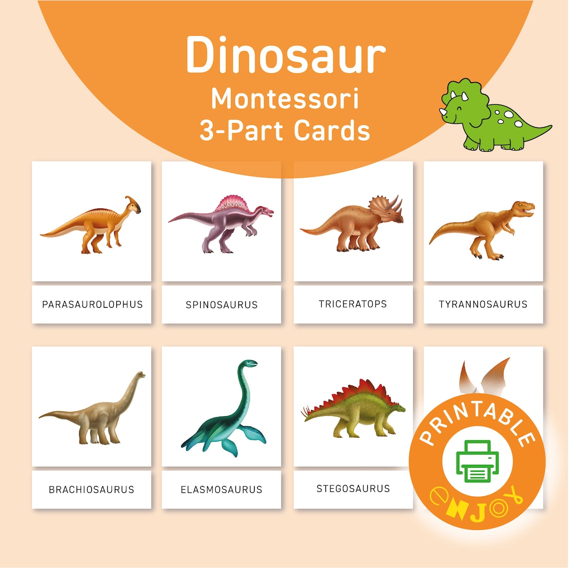 Dinosaur Montessori 3-part Cards Preschool Printables Dinosaur ...