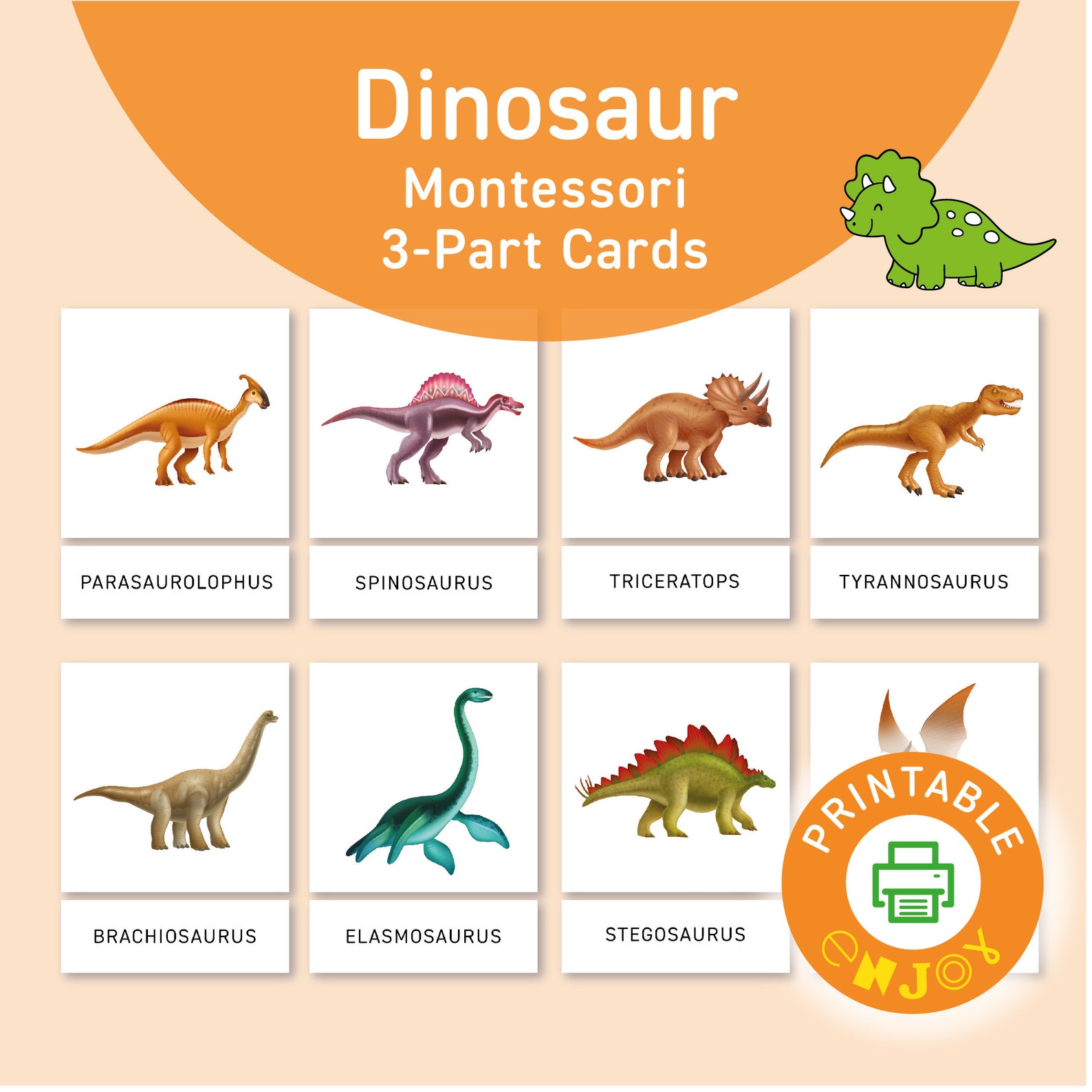 Dinosaur Montessori 3-part Cards Preschool Printables Dinosaur ...