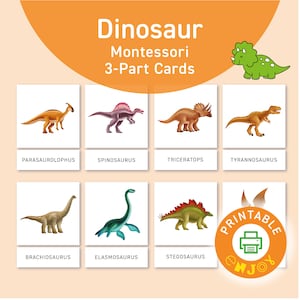 8 Dinosaur 3-part Cards Montessori, Montessori Activity, Dinosaur ...