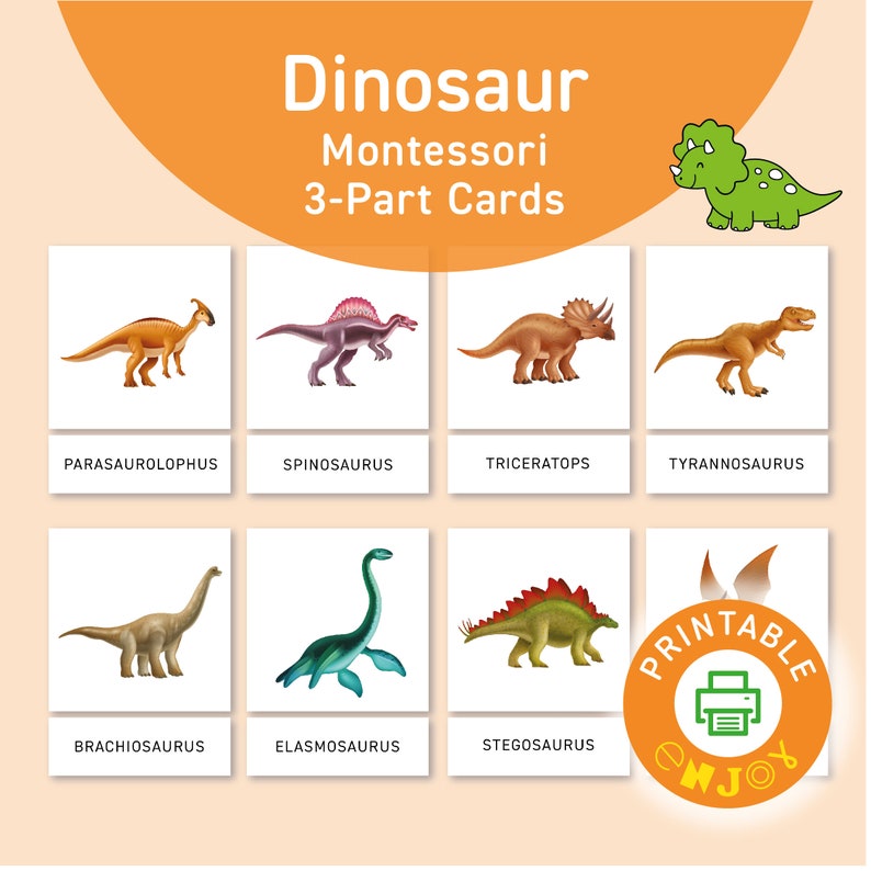 Dinosaur Montessori 3-part Cards Preschool Printables Dinosaur ...