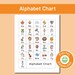 Printable Alphabet Chart Poster, Alphabetical Chart, ABC Chart Download ...