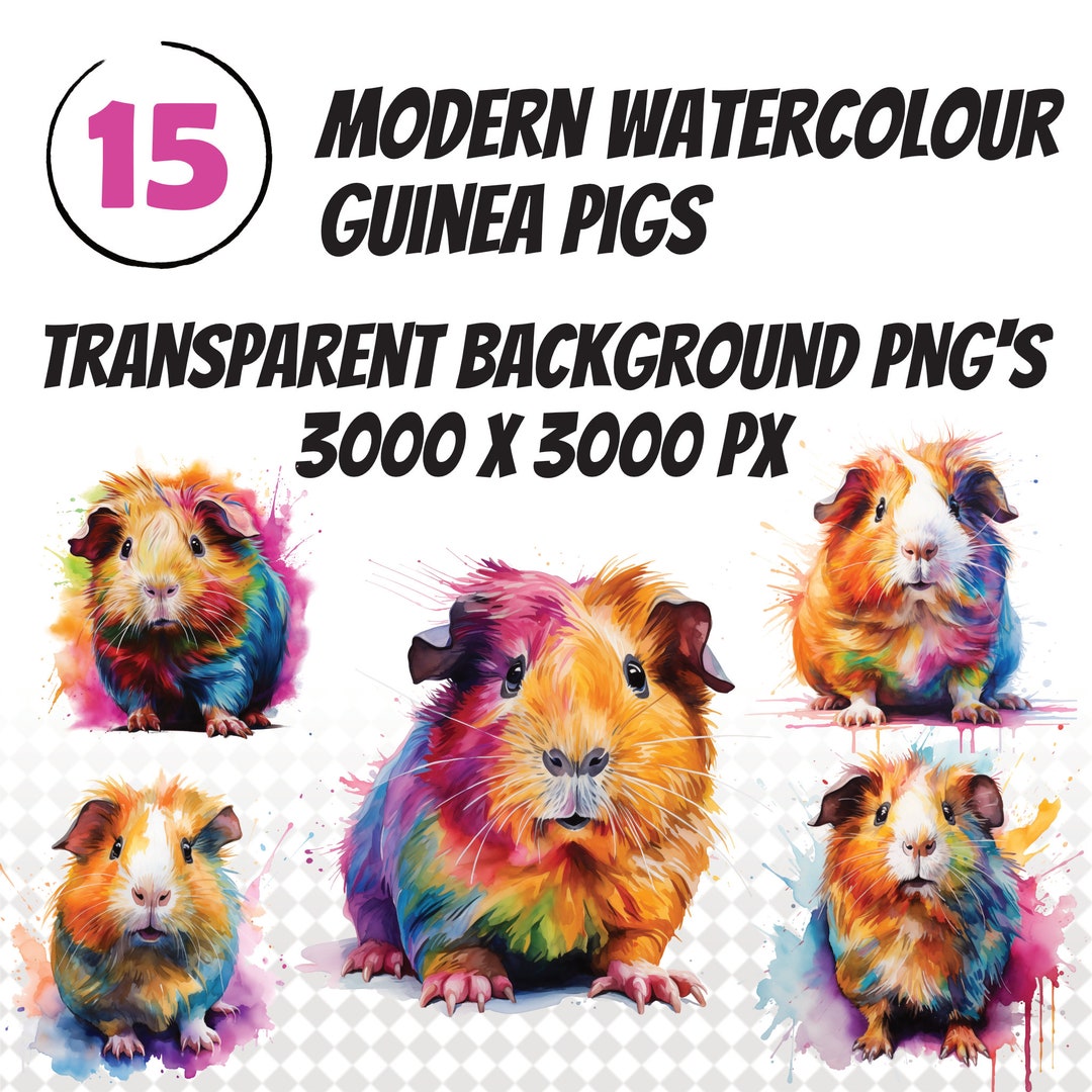 Guinea Pigs Clipart Bundle 15 Transparent Background PNG Digital ...
