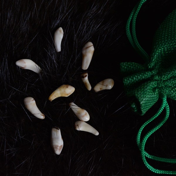 Bruce's favorite items - Etsy