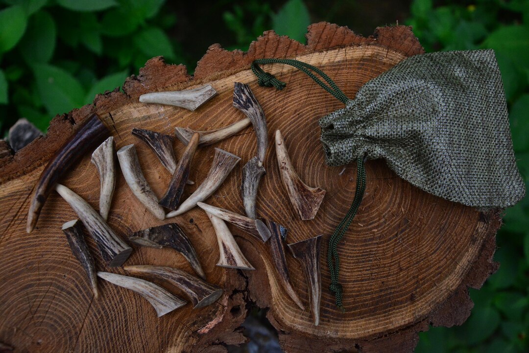 20x ANTLER Tip With a Jute Bag | Roe Deer Antler Tips: Affordable ...