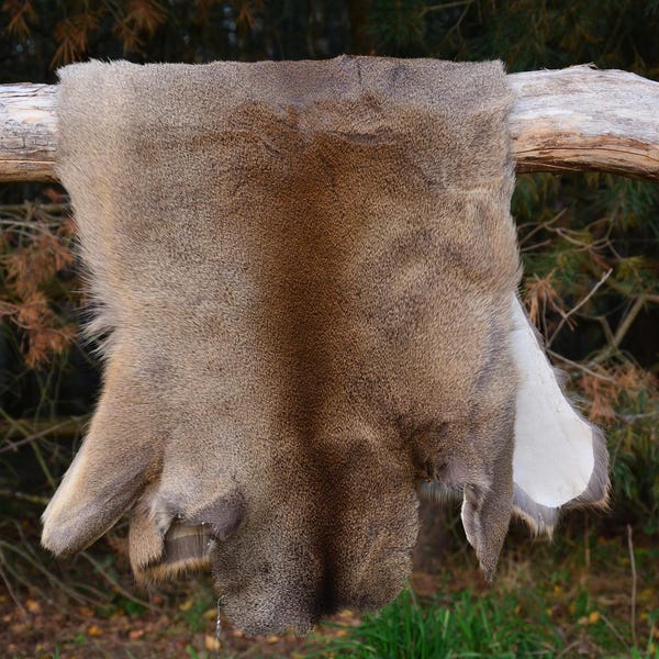 Deer Hide - Etsy