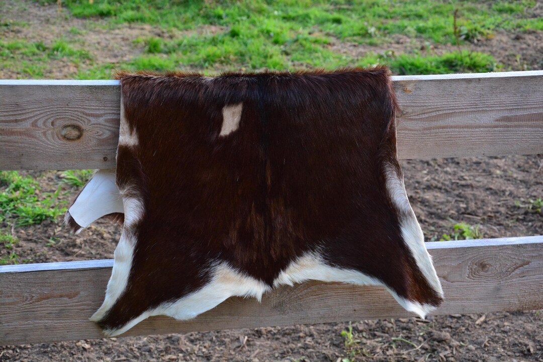 Goat Hide! Perfect Cozy Home Decor, Christmas Present, Gift, Bear Rug ...