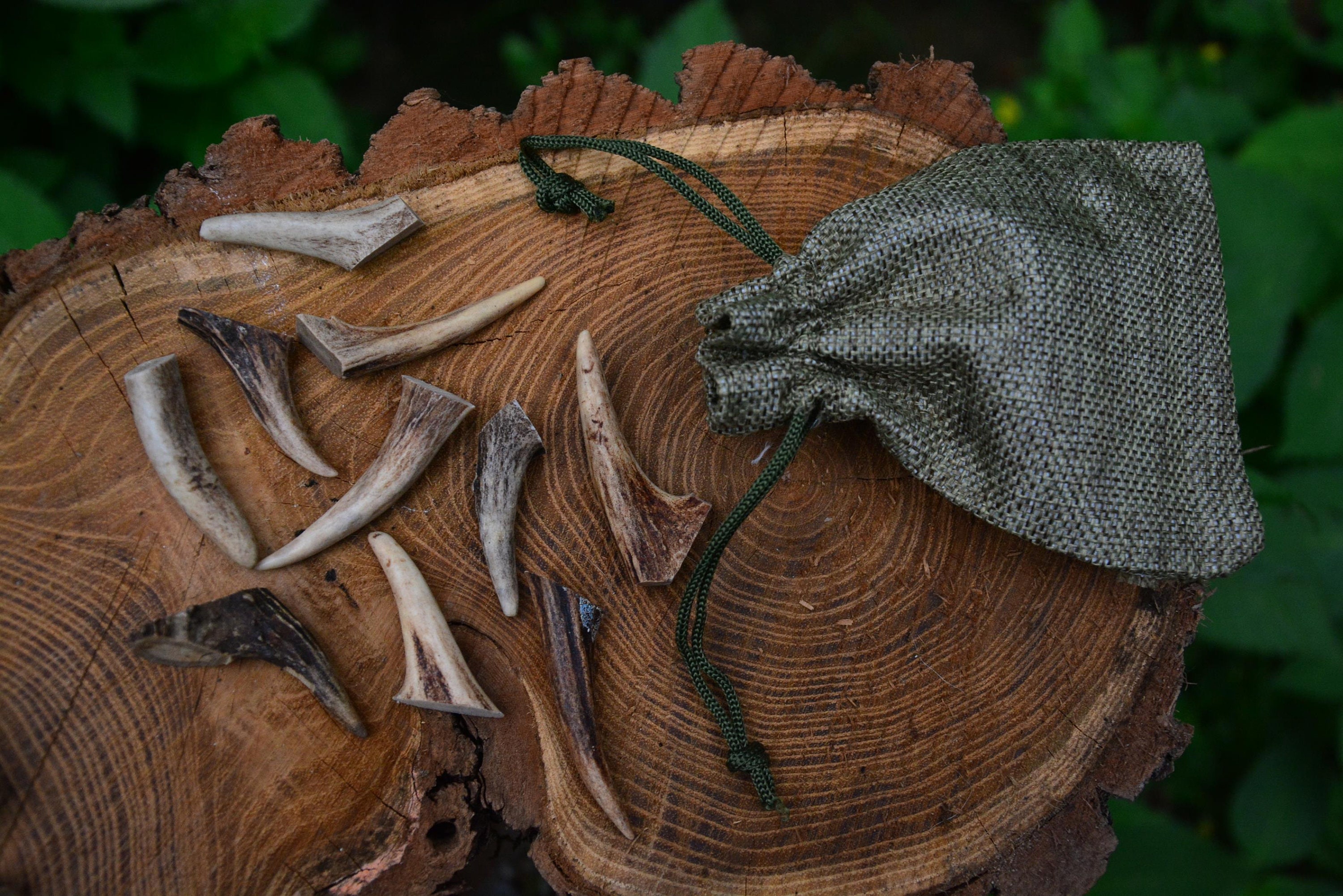 10x ANTLER Tip With a Jute Bag Roe Deer Antler Tips: Affordable ...