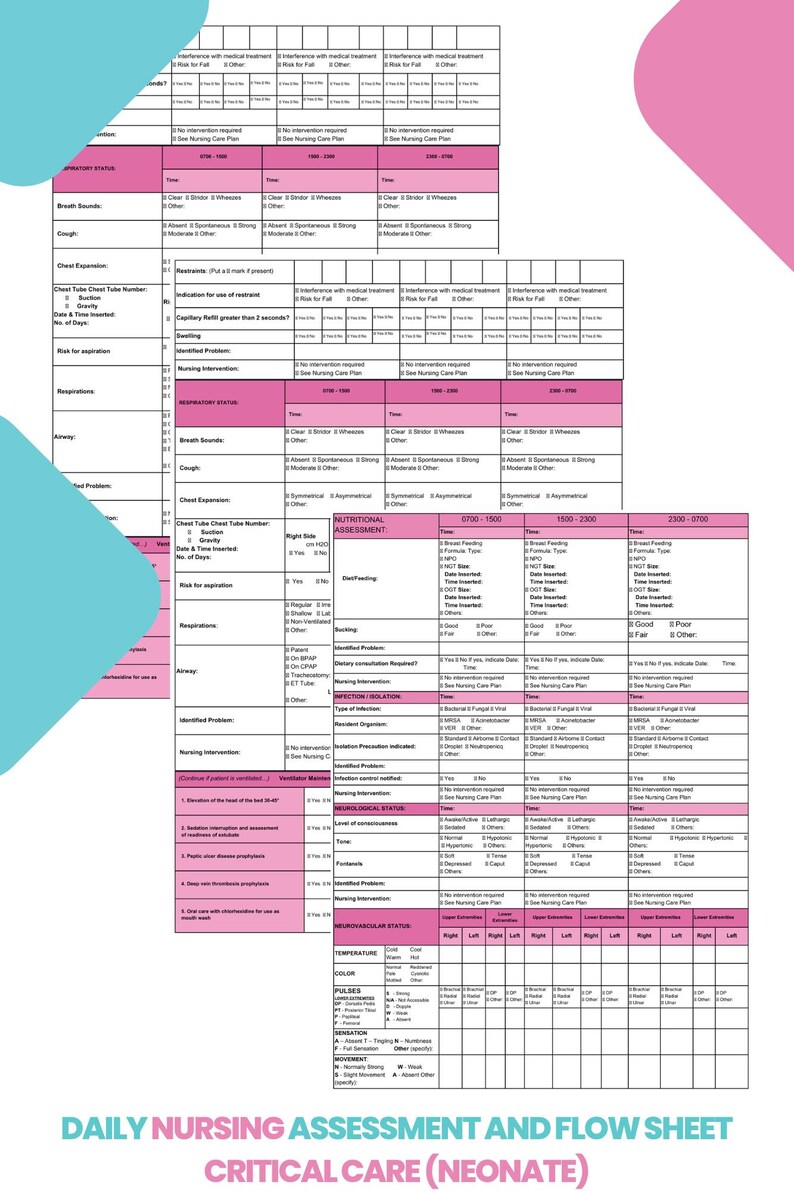 Daily Nursing Assessment and Flow Sheet - Critical Care (neonate) - Etsy