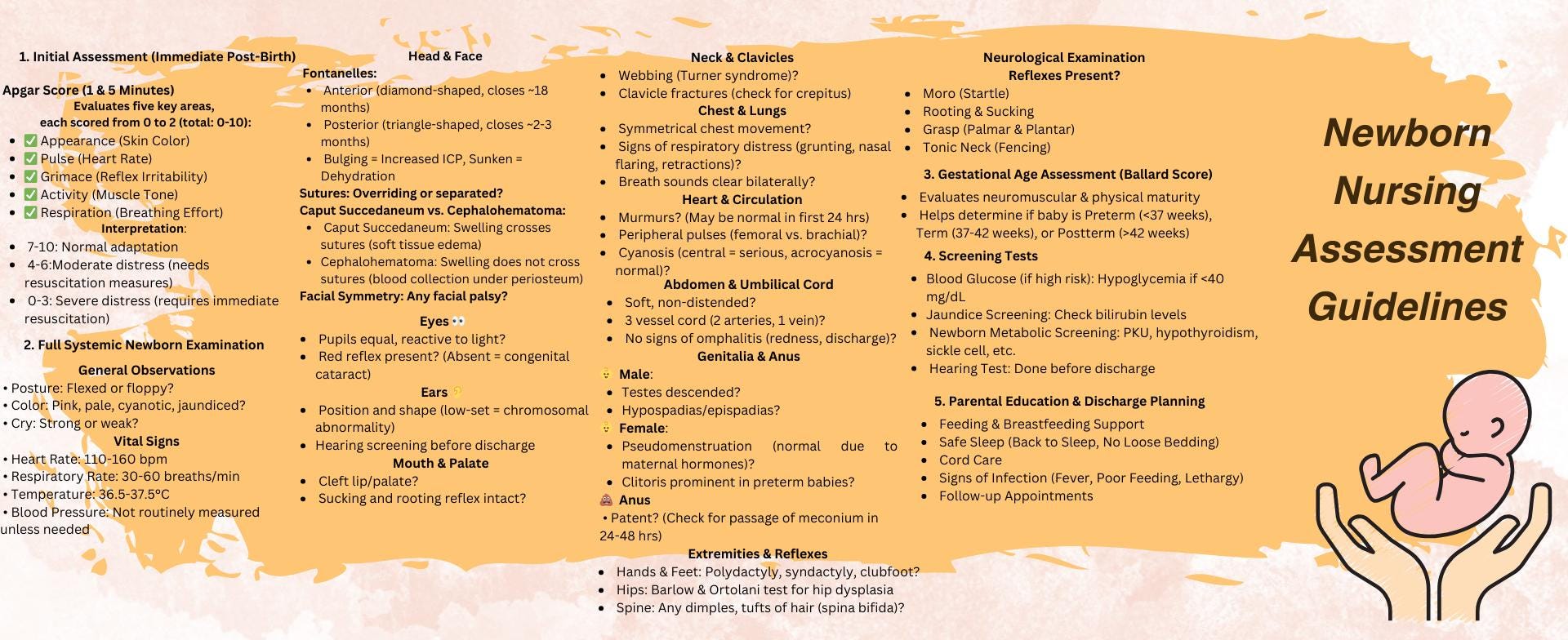 Newborn Nursing Assessment Chart | Neonatal Nurse Cheat Sheet | NICU ...