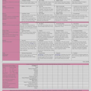 Braden Q Risk Assessment & Interventions Form - Etsy