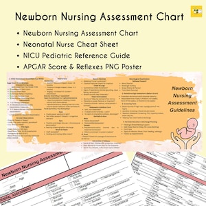 Newborn Nursing Assessment Chart | Neonatal Nurse Cheat Sheet | NICU ...