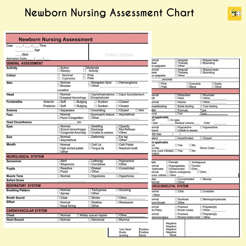 Newborn Nursing Assessment Chart | Neonatal Nurse Cheat Sheet | NICU ...