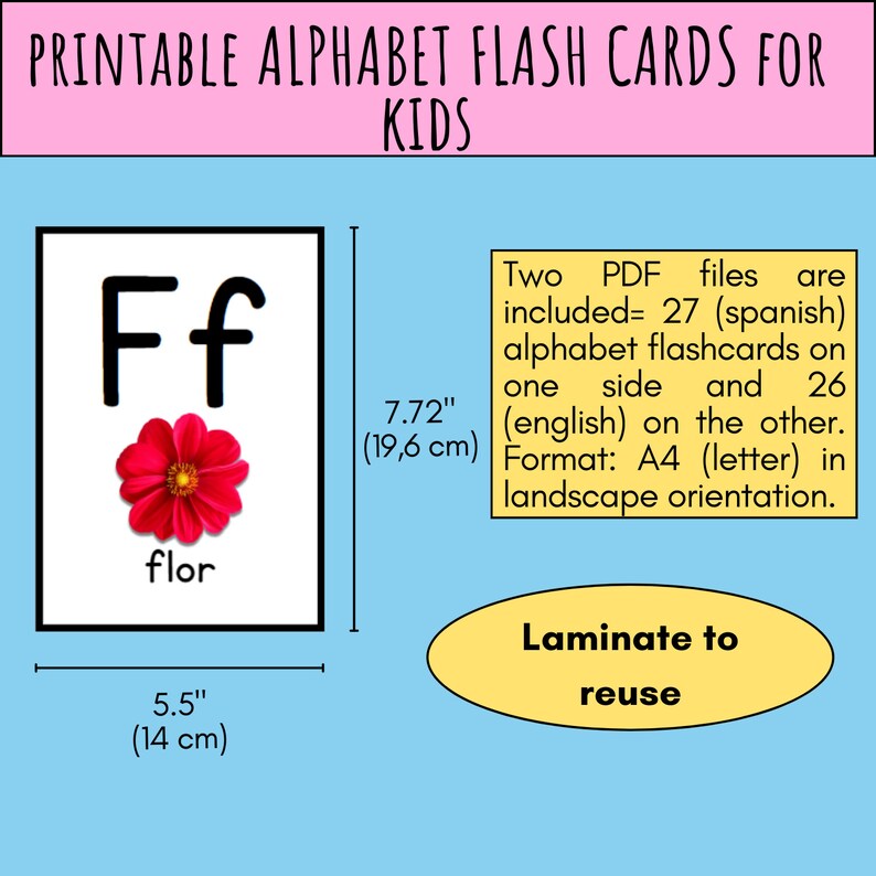 ABC Flash Cards in English and Spanish, Minimalist, Real Images ...
