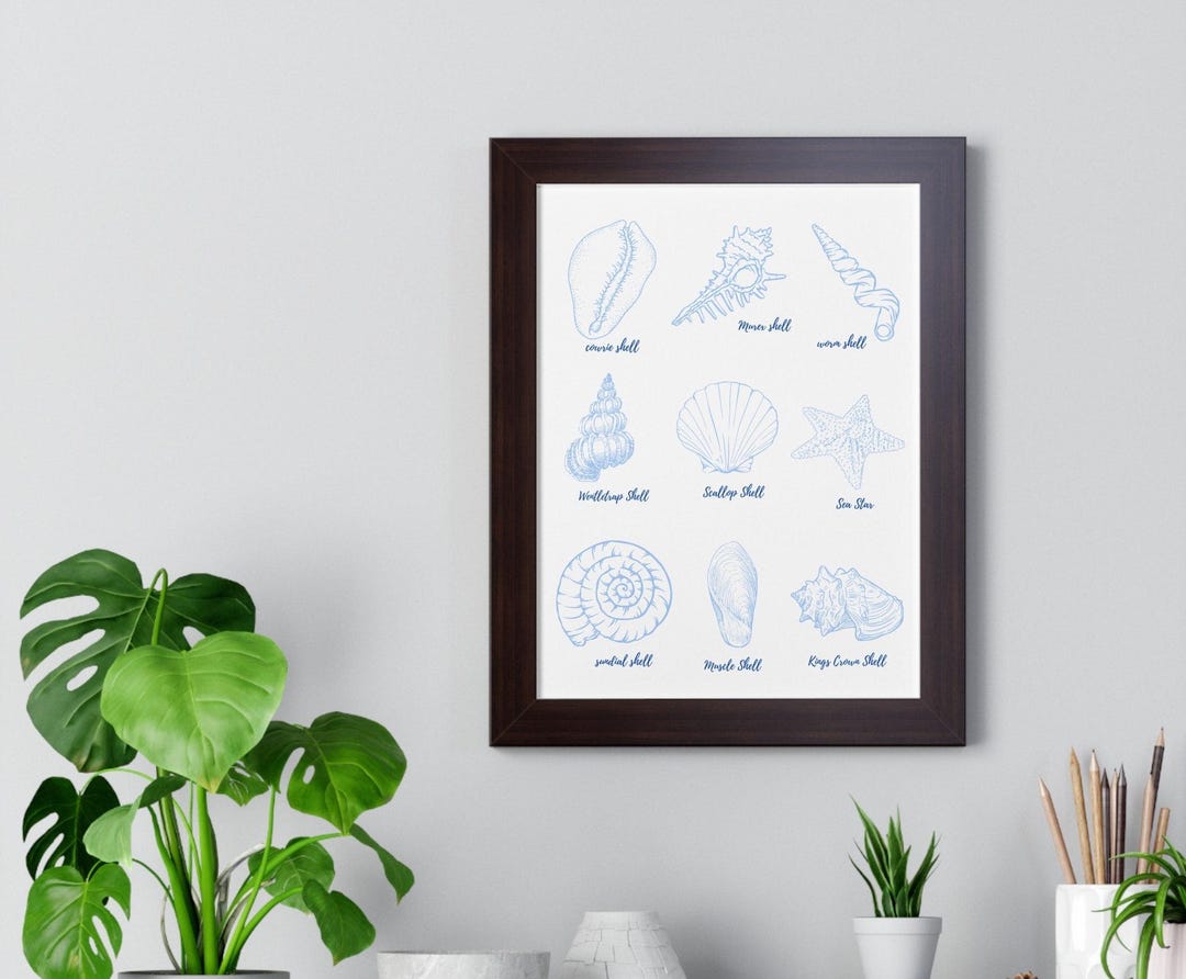 Seashell Framed Wall Art, Coastal Wall Art,beach House Decor, Nautical ...