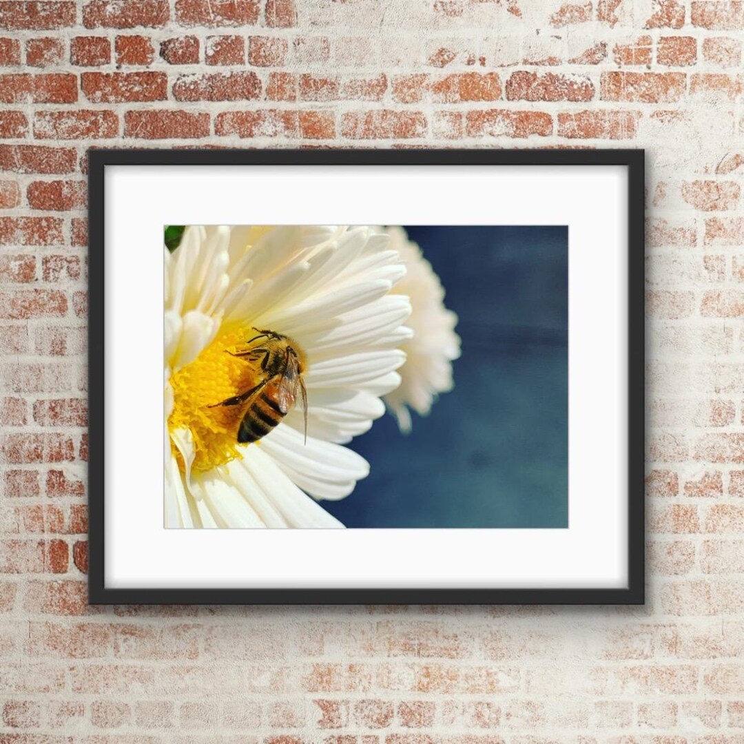 The Sting | Color Photography Print | Wall Art | Bee & Garden Photo Art ...