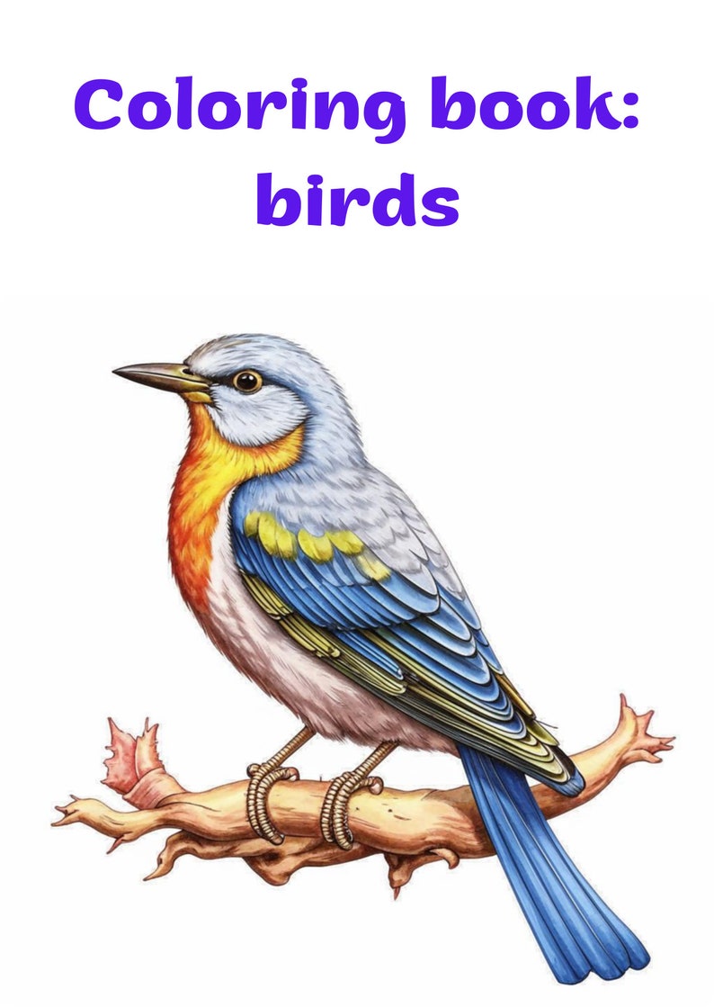 25 Cute Birds Coloring Pages Coloring Book for Adults and Kids, Digital ...