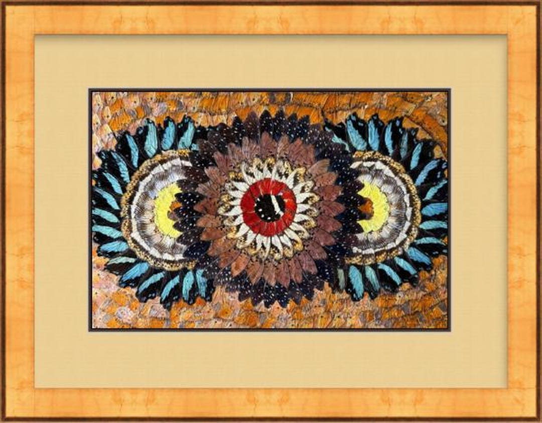 Unique Art, Butterfly Wings Frame, Gift for Him /for Her, Home / Office ...