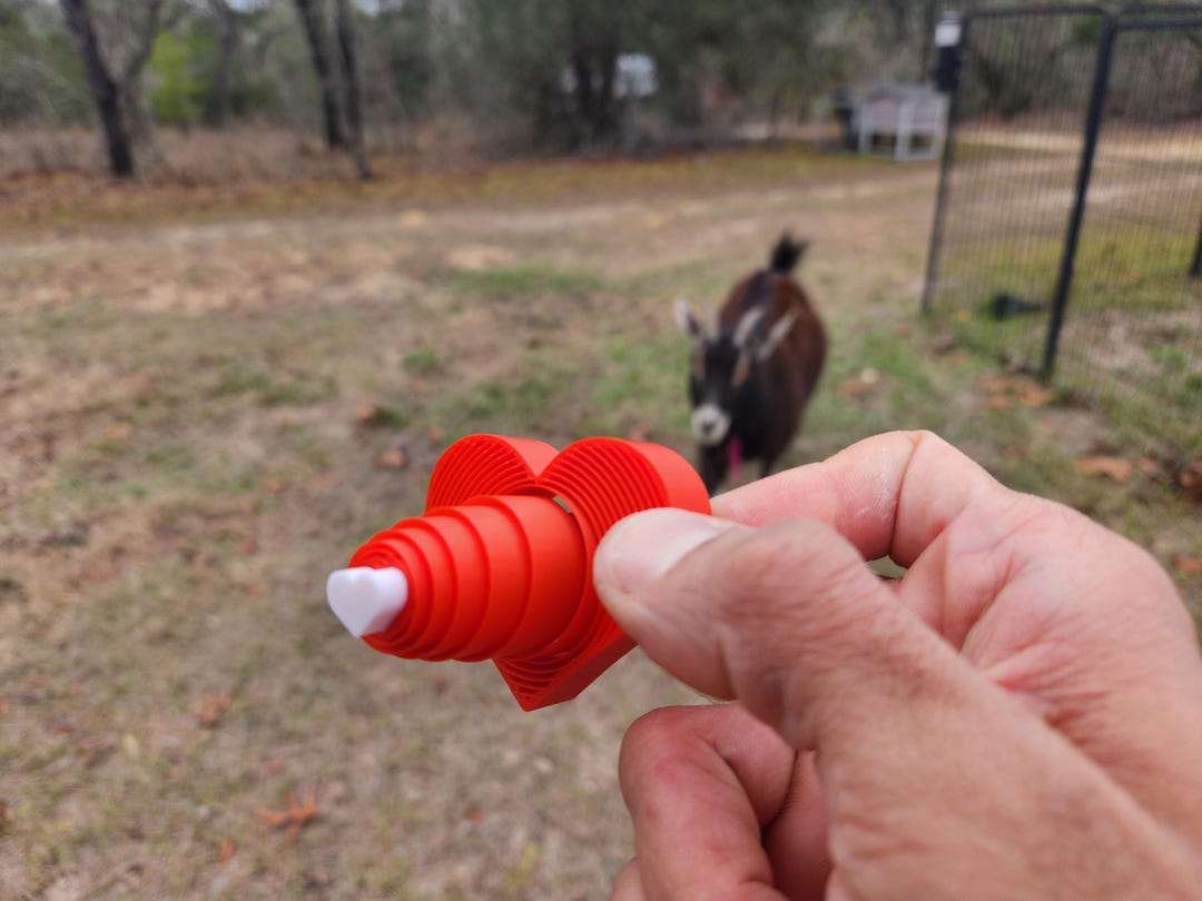 Springy Fidget Heart – 3D Printed Valentine’s Day Gift for Loved Ones ...
