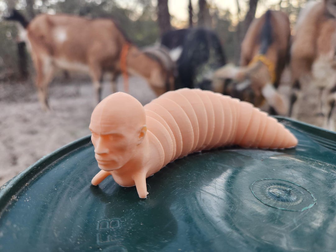 The Rock Fidget Slug 'the Rug Johnson' - 3D Printed Rock Slug Fidget ...