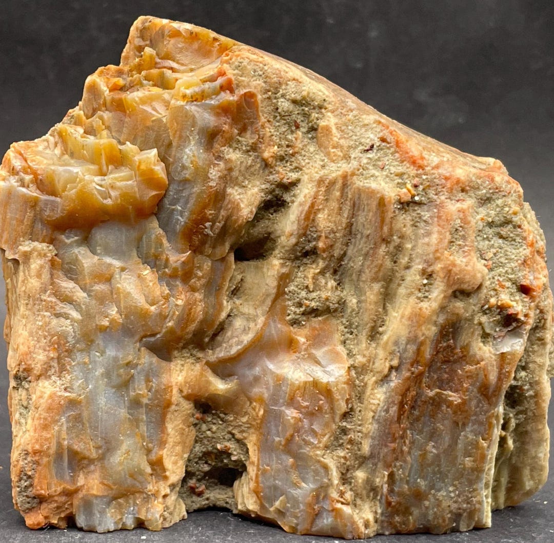 Petrified Wood: Standing Natural Display Specimen From Utah, Blue and ...