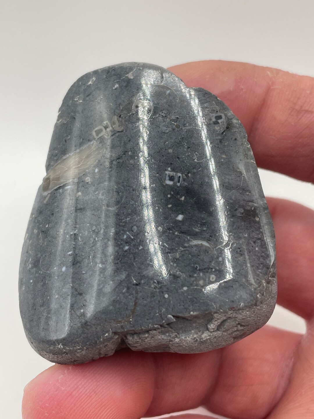 Semi Polished Nellie Blue Flint Matrix With Small Devonian Fossils - Etsy