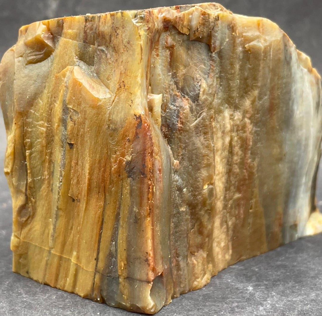 Petrified Wood: Standing Natural Display Specimen From Southern Utah - Etsy