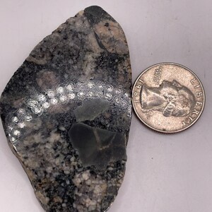 Gowganda Tilite Stone Slice - Polished Slab Specimen - Natural Edges - Etsy