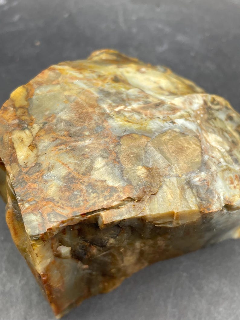 Petrified Wood: Standing Natural Display Specimen From Southern Utah - Etsy