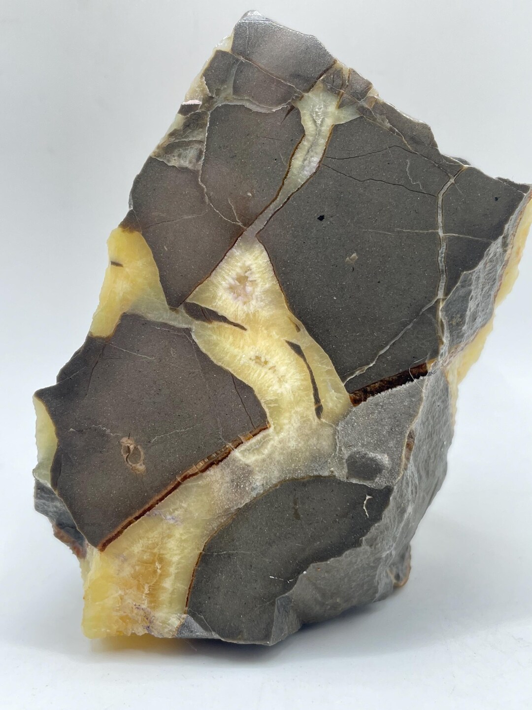Lightning Stone - Septarian Nodule - Face Polished Specimen With ...