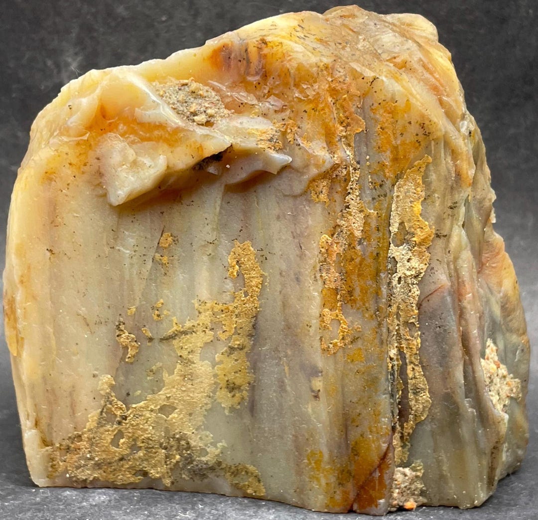 Petrified Wood: Standing Natural Display Specimen From Southern Utah - Etsy