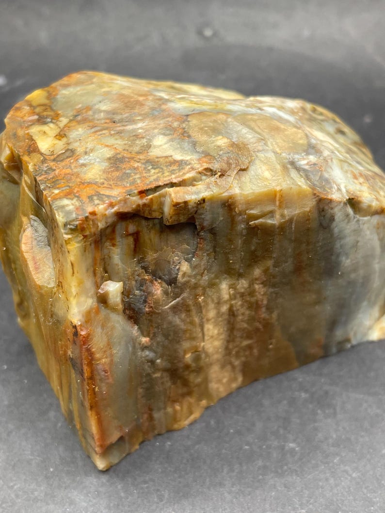 Petrified Wood: Standing Natural Display Specimen From Southern Utah - Etsy