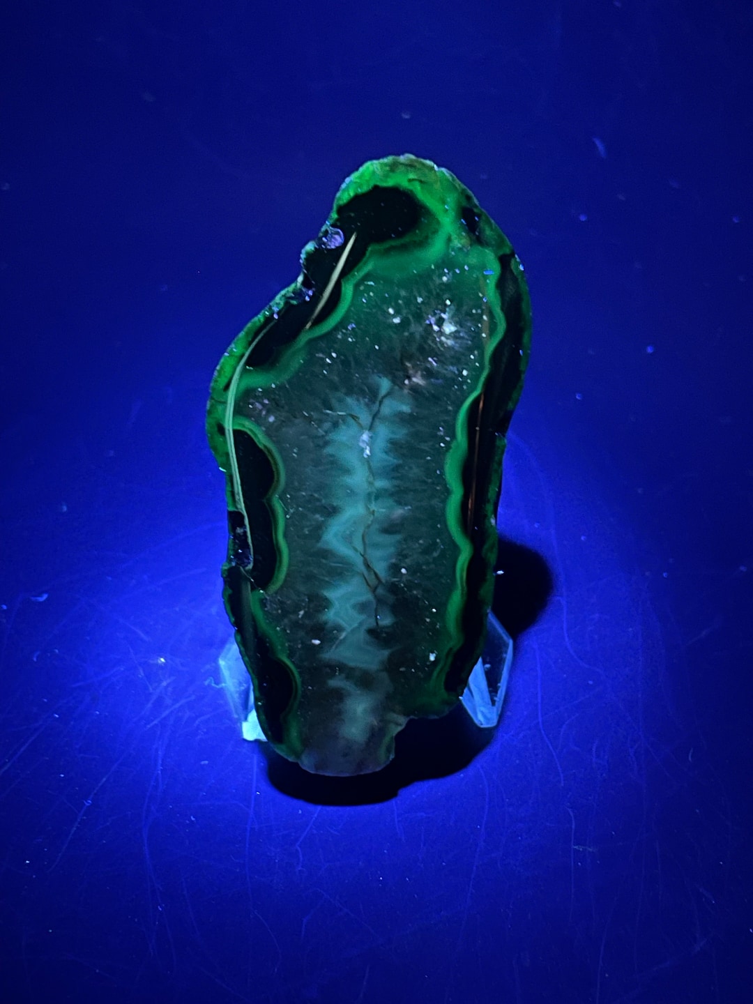 Montana Agate Geode End Polished With Natural Back Fluorescent Mineral ...