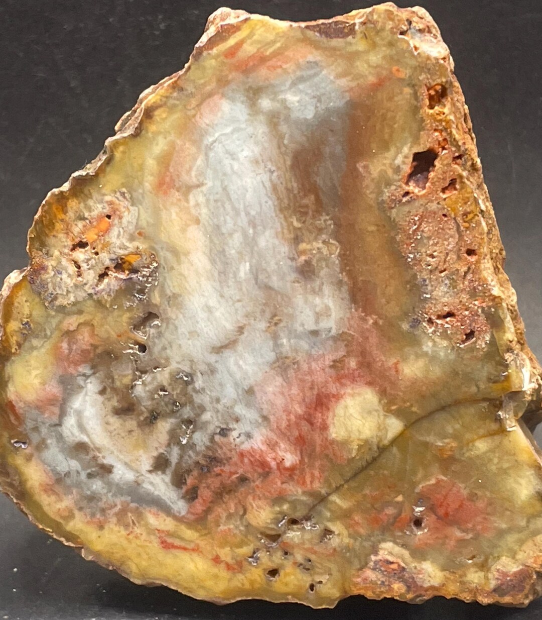 Ohio Rainbow Flint: Face Polished Specimen From Nethers Farm Flint ...