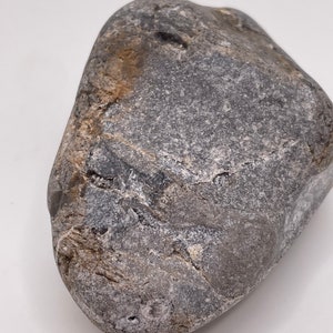 250-400 Million Year Old Honeycomb Coral Fossil With Black Flint and ...