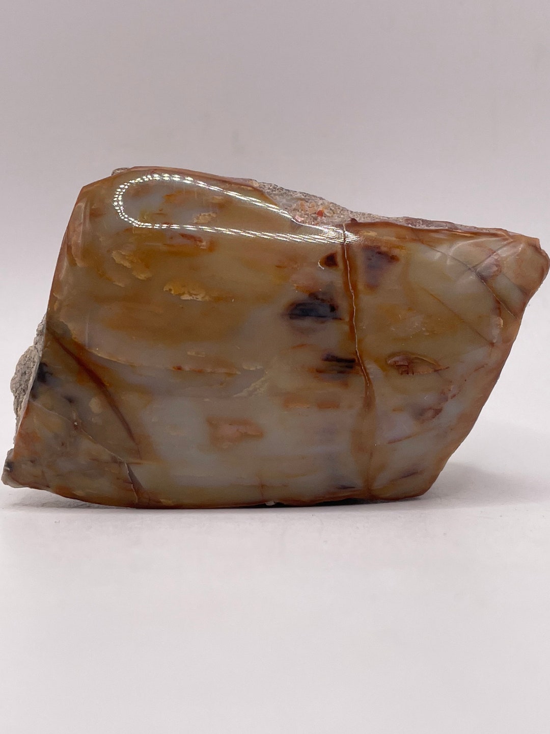 Petrified Wood - Polished Standing Stone Display - Natural Bark Left ...