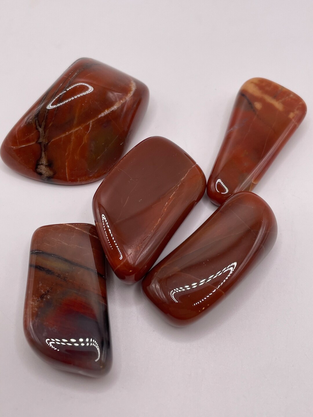 Five Arizona Rainbow Petrified Wood Stones Tumbled and Polished - Etsy