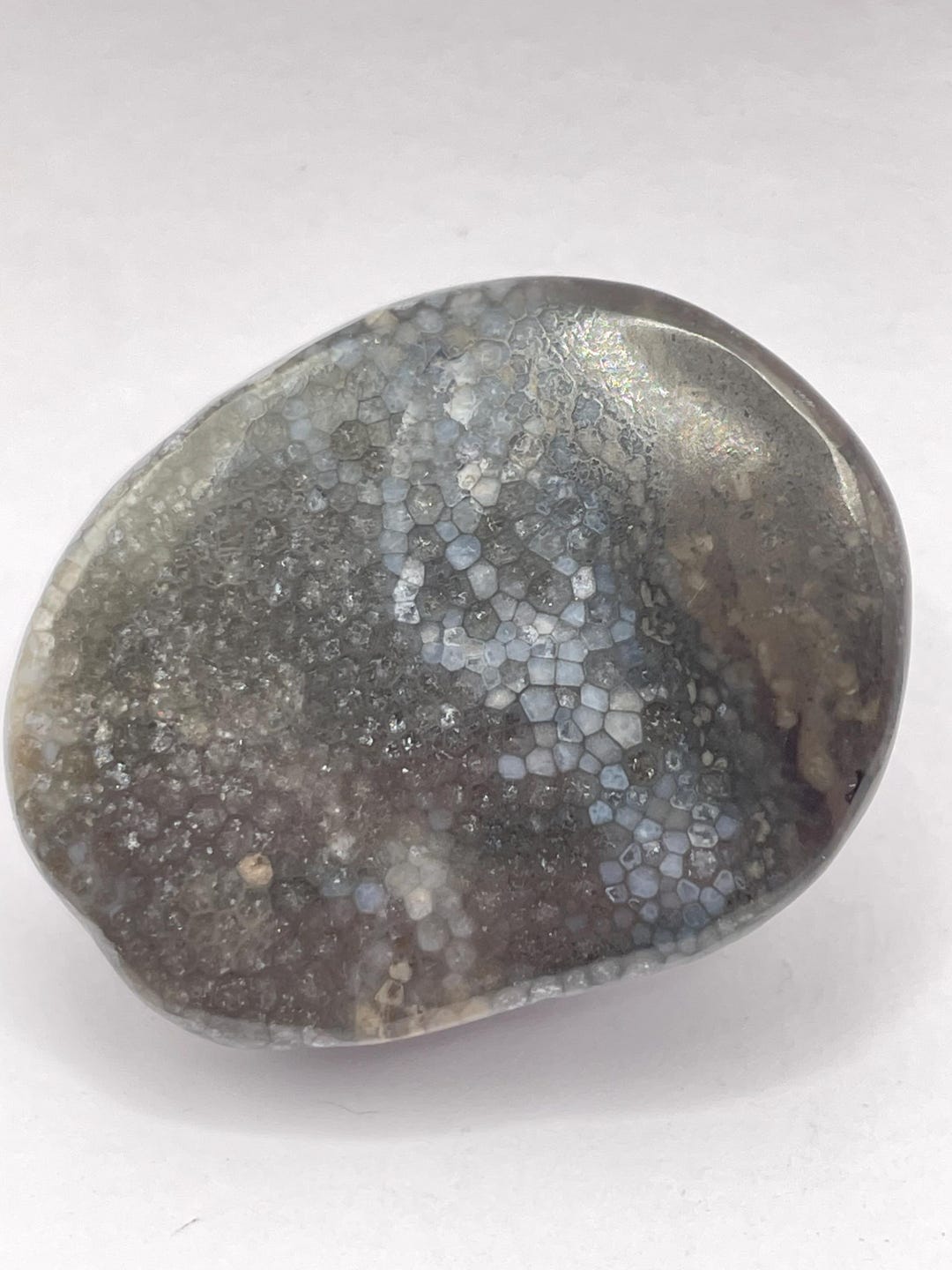 Charlevoix Stone Favosite Coral Fossil Tumbled and Hand Polished - Etsy