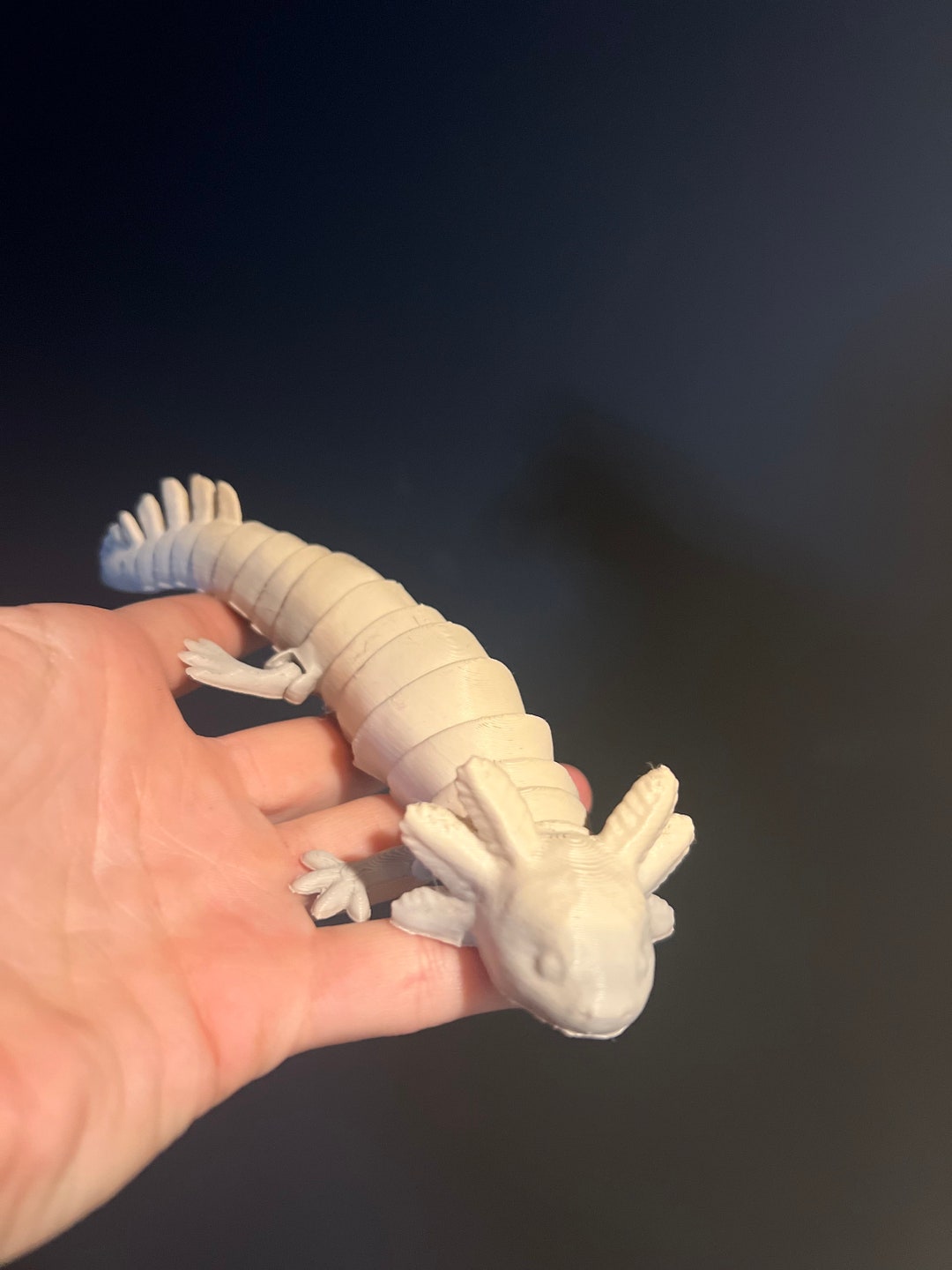 Articulated Axolotl Fidget Toy - Etsy