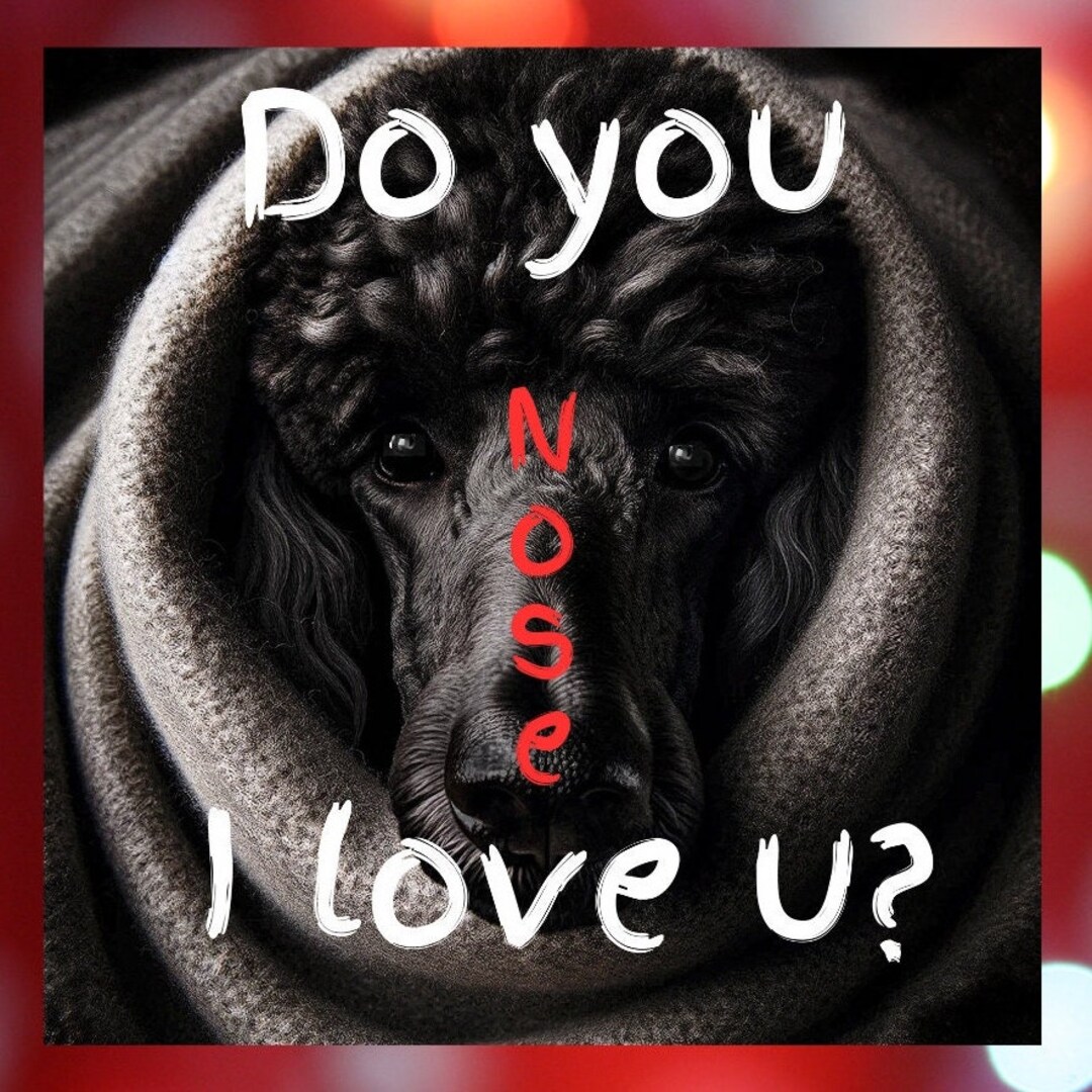 Black Dog Sticker, Standard Poodle Lovers and Owners | Poodle Car ...