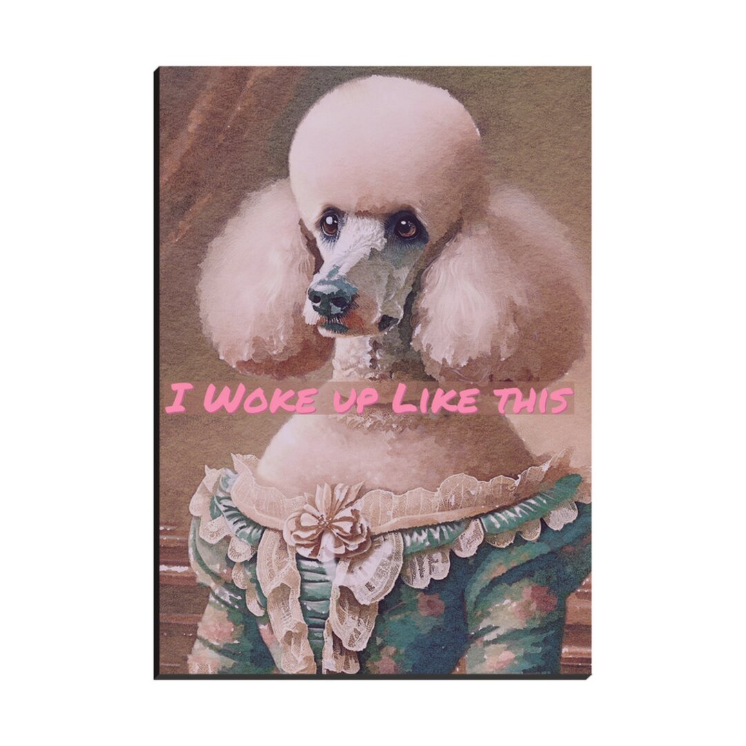 Standard Poodle Wall Art Funny Poodle Decor Easel Back Canvas I Woke up ...