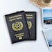 United Nations Diplomatic Passport Cover: UN Passport Holder - Etsy