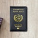 United Nations Diplomatic Passport Cover: UN Passport Holder - Etsy