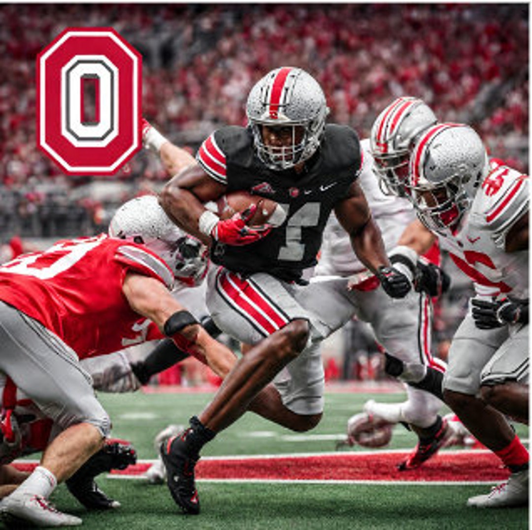 Ohio State Gameday Guide Fan Experience - Etsy