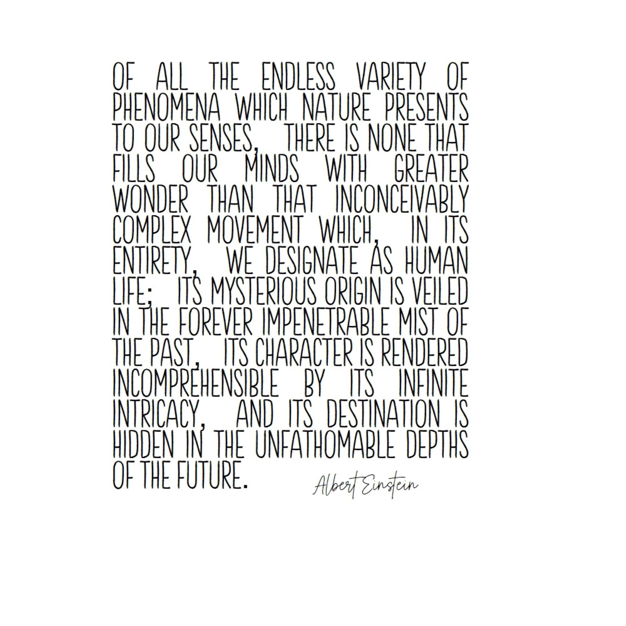 Actual Albert Einstein Quote, Wall Art. Intellectual Words to Live By ...