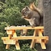 Handmade Wood Squirrel Picnic Table Squirrel Feeder Picnic Table Animal ...