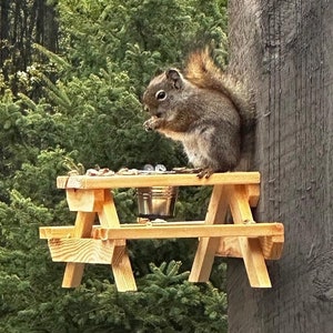 Handmade Wood Squirrel Picnic Table Squirrel Feeder Picnic Table Animal ...