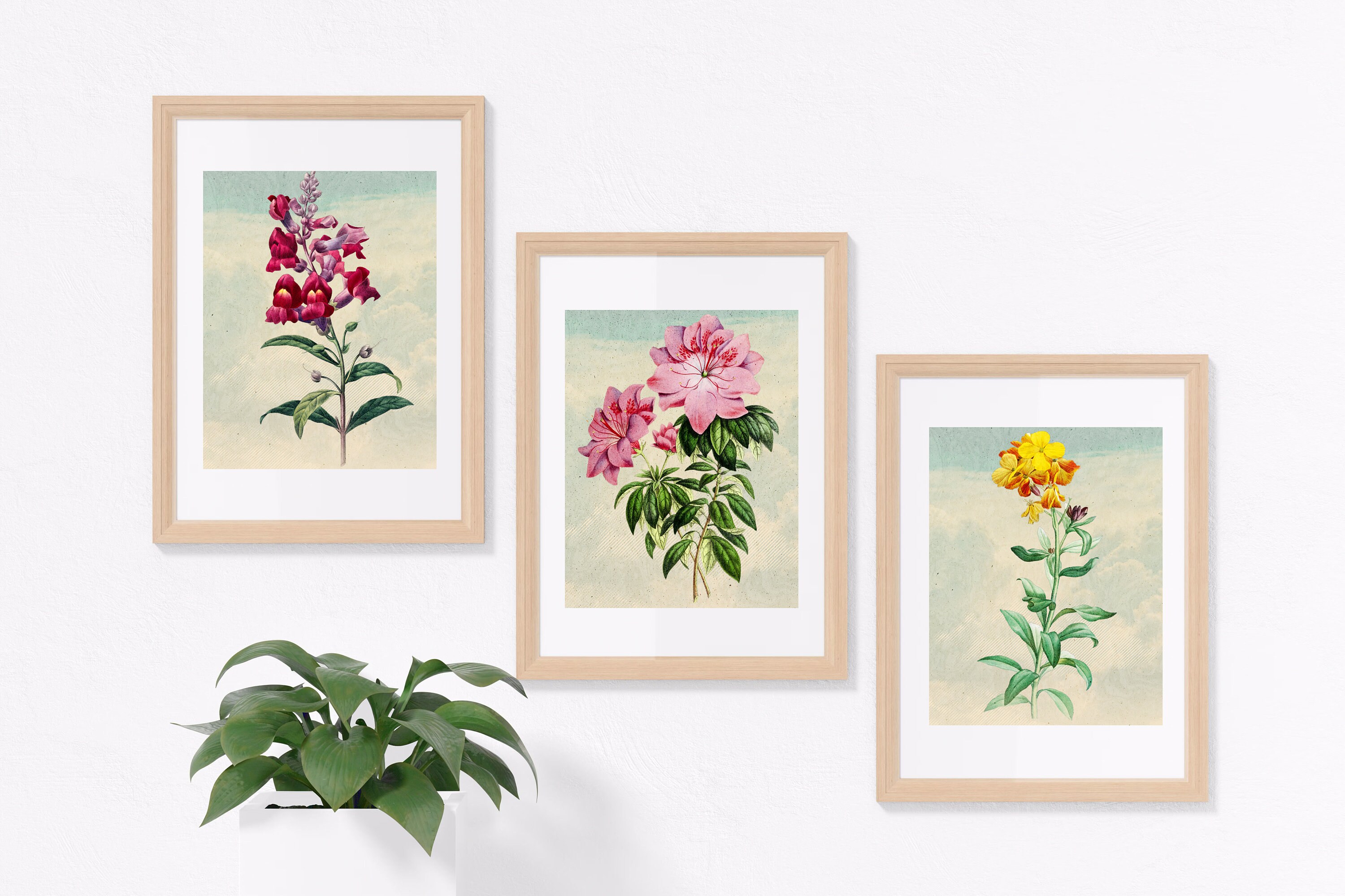 Colorful Flowers Wall Art Set of 3, Floral Print, Flower Decor, Art for ...